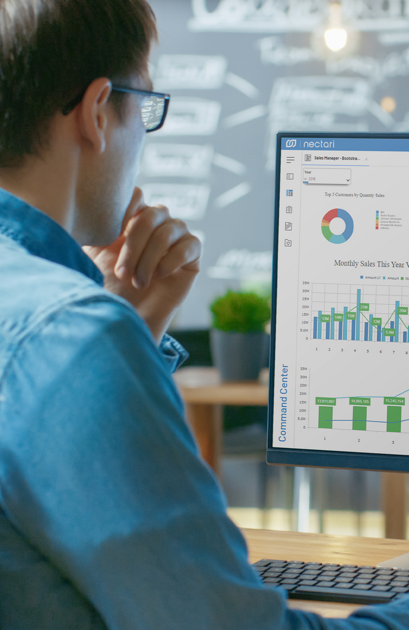 Nectari Business Intelligence